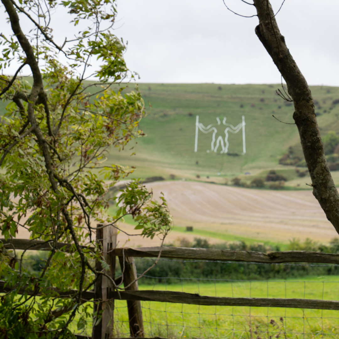 The Brewers Foundation